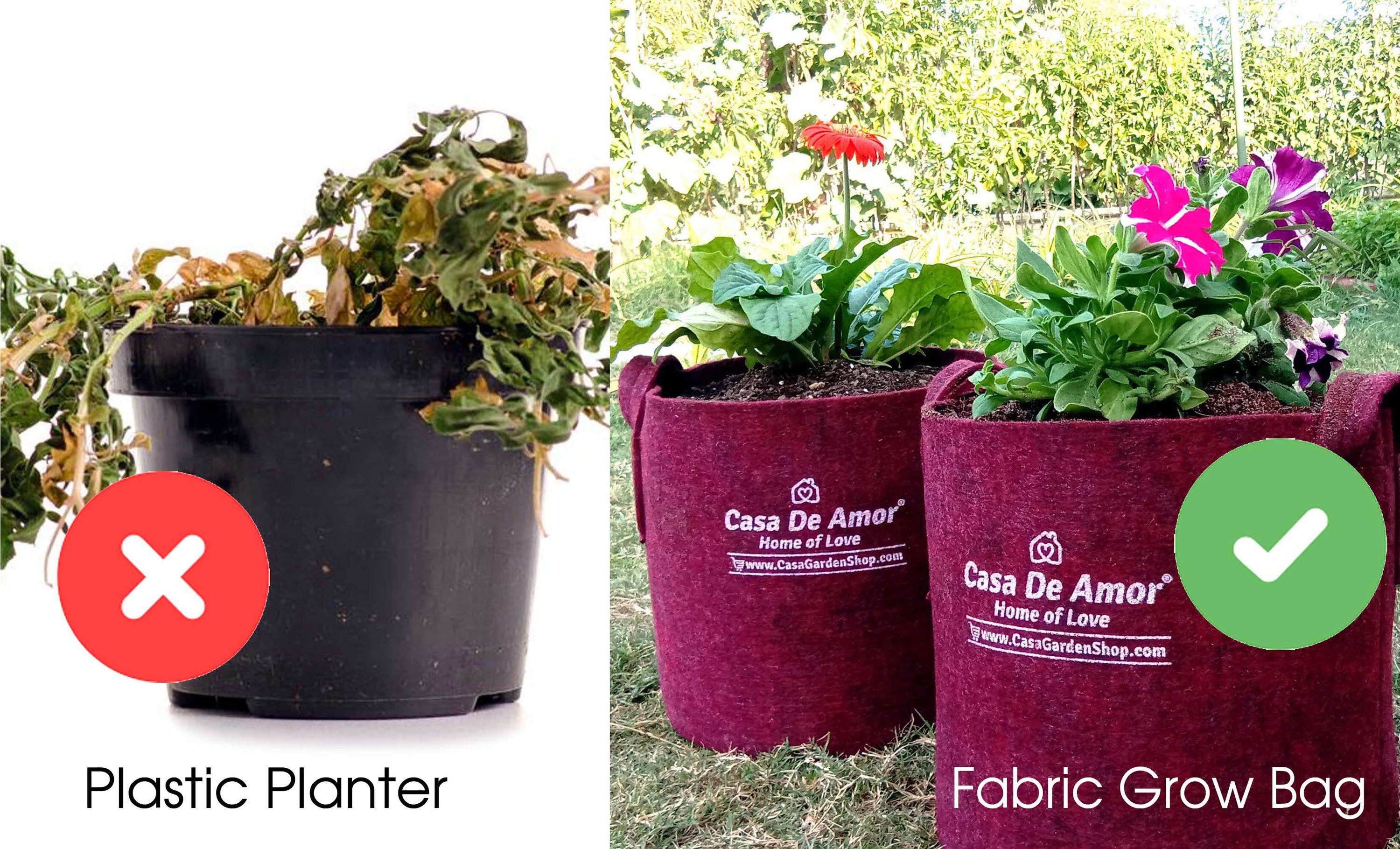 Choosing the Right Planter for Your Plants: A Comparison of Plastic an ...
