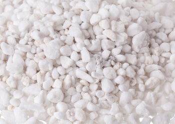 The Gardener’s guide to perlite – Casa De Amor