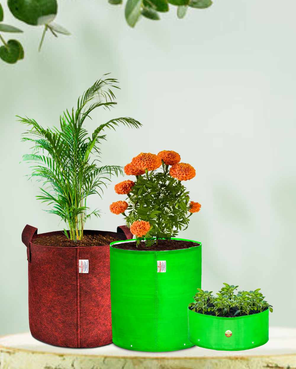 Grow Bags – Casa De Amor
