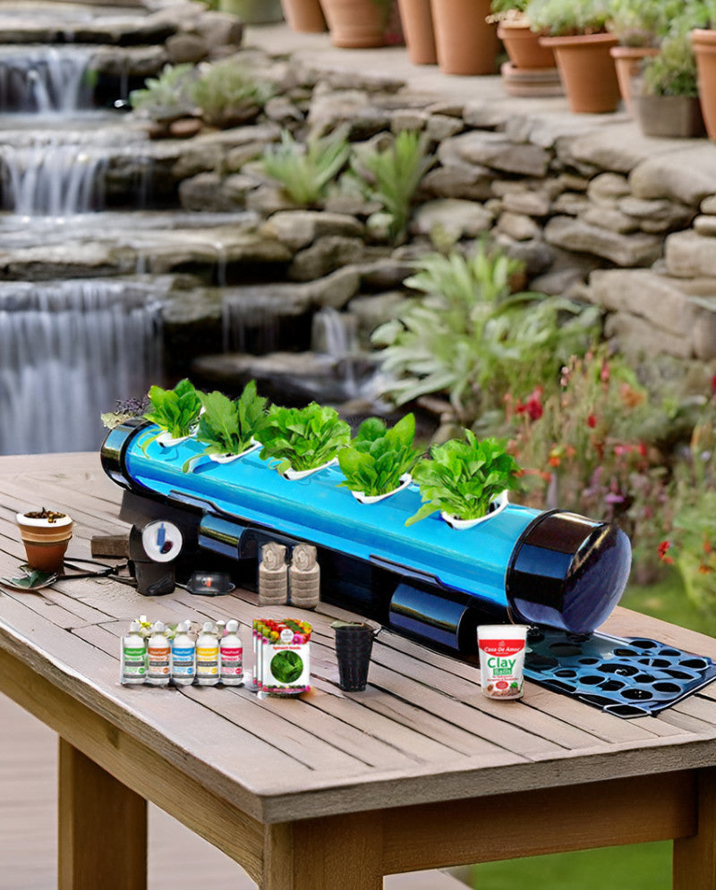 Buy Hydroponic Kit & Nutrients for Home Gardening | CasaDeAmor – Casa ...