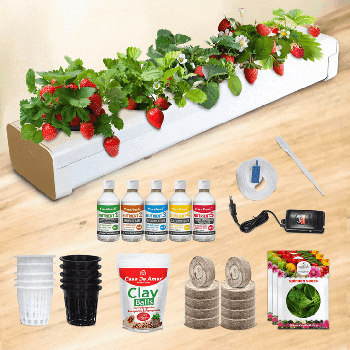 Buy Hydroponic Kit & Nutrients for Home Gardening | CasaDeAmor – Casa ...